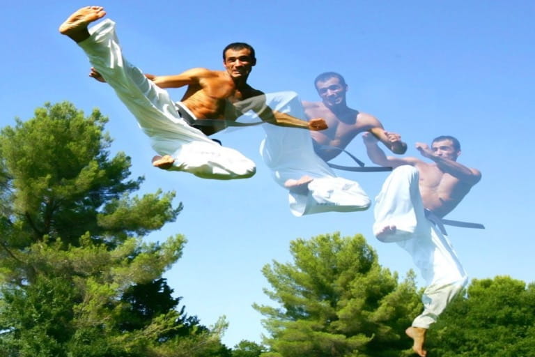 Who Is Christophe Pinna? The French Karate Champion Behind World Titles ...